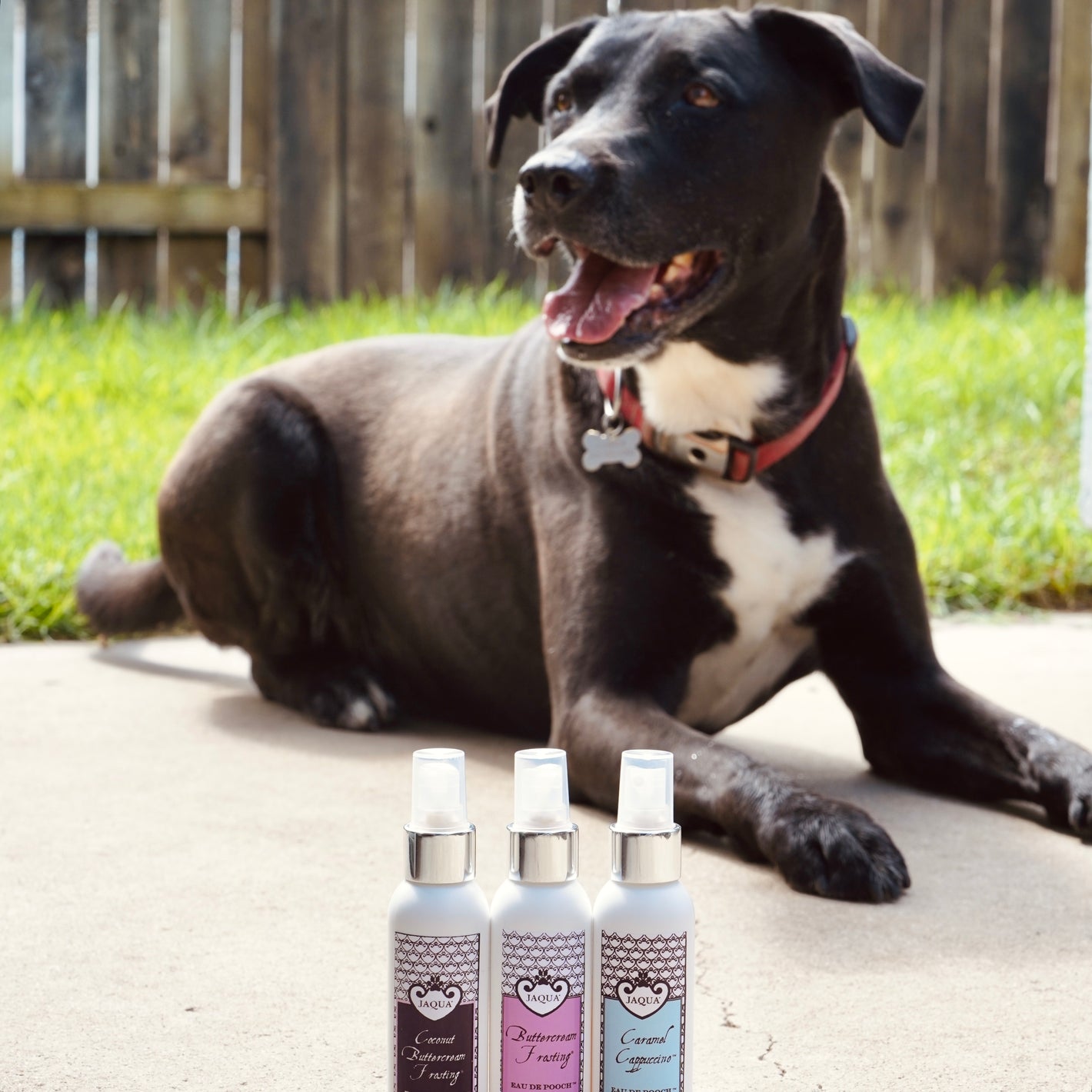 Pet Fragrance Spray with Organic Aloe & Meadowfoam Seed Oil ...