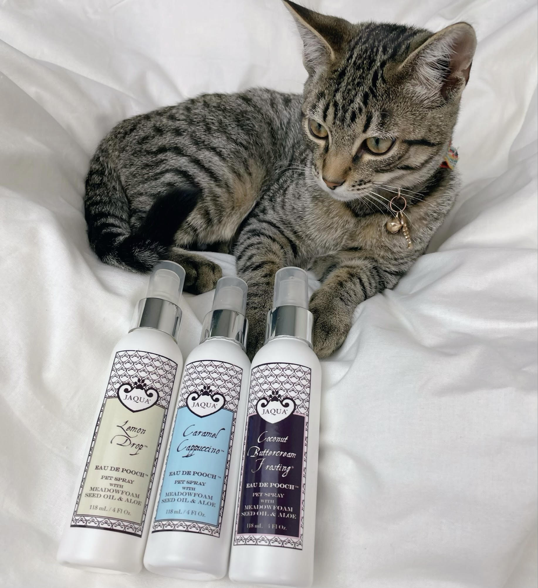 Pet Fragrance Spray with Organic Aloe & Meadowfoam Seed Oil ...